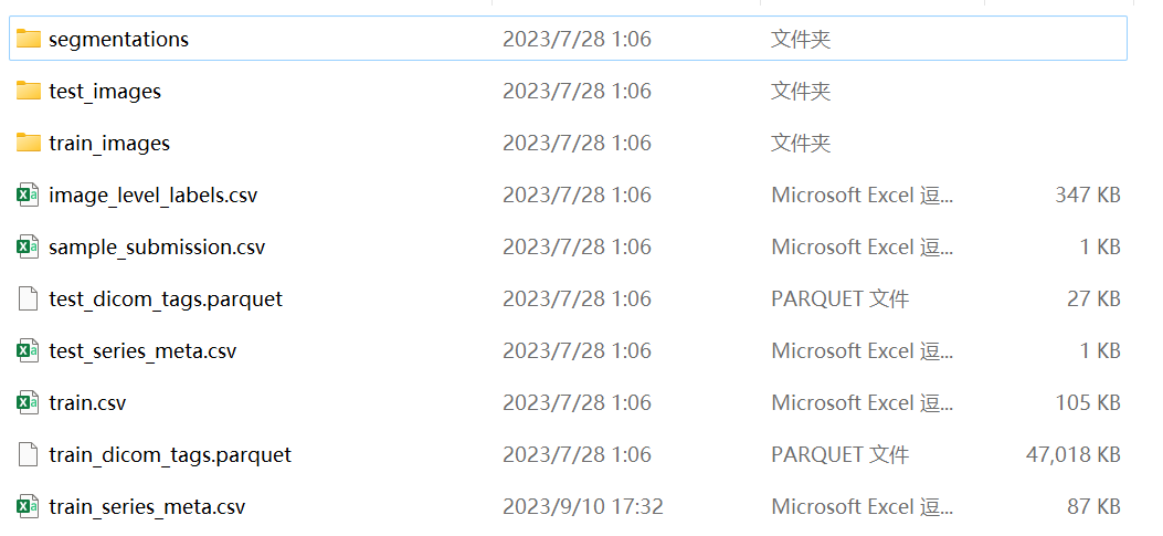 RSNA 2023 腹部创伤检测 分割数据集预处理部分 | Scorpio-yyz